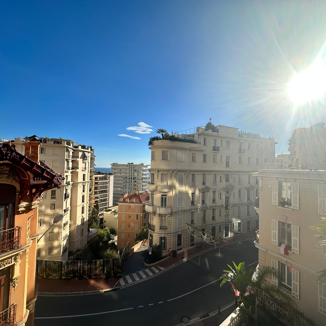 1 bedroom apartments for rent in Monte-Carlo - 3/5
